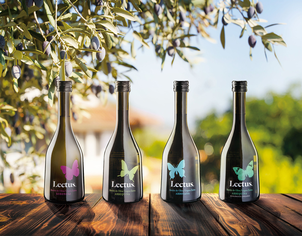 樂食Lectus特級初榨冷萃橄欖油-和平大地 – 彩津國際股份有限公司